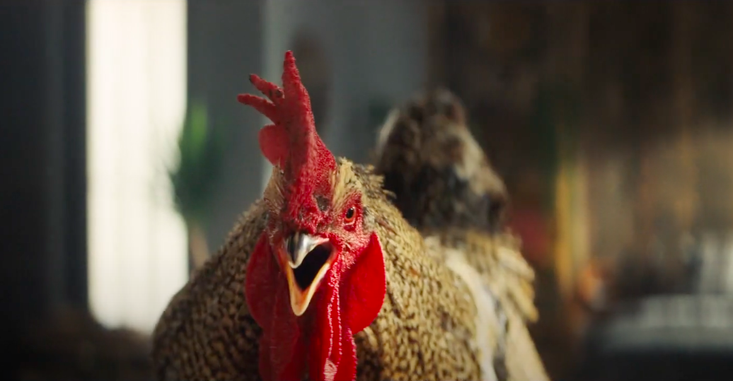 ‘If You Wanna Grab a Snack, Grab a Snack.’ | Farm Rich